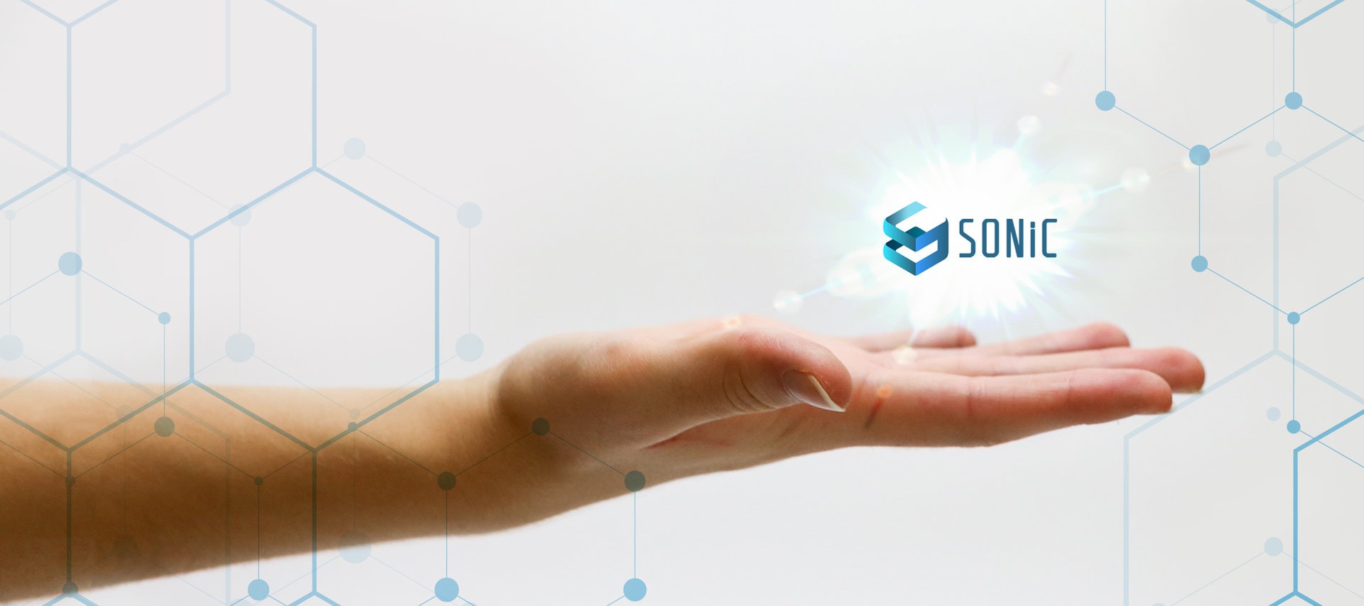 SONiC Care Suite – Open Software Services from PLVision