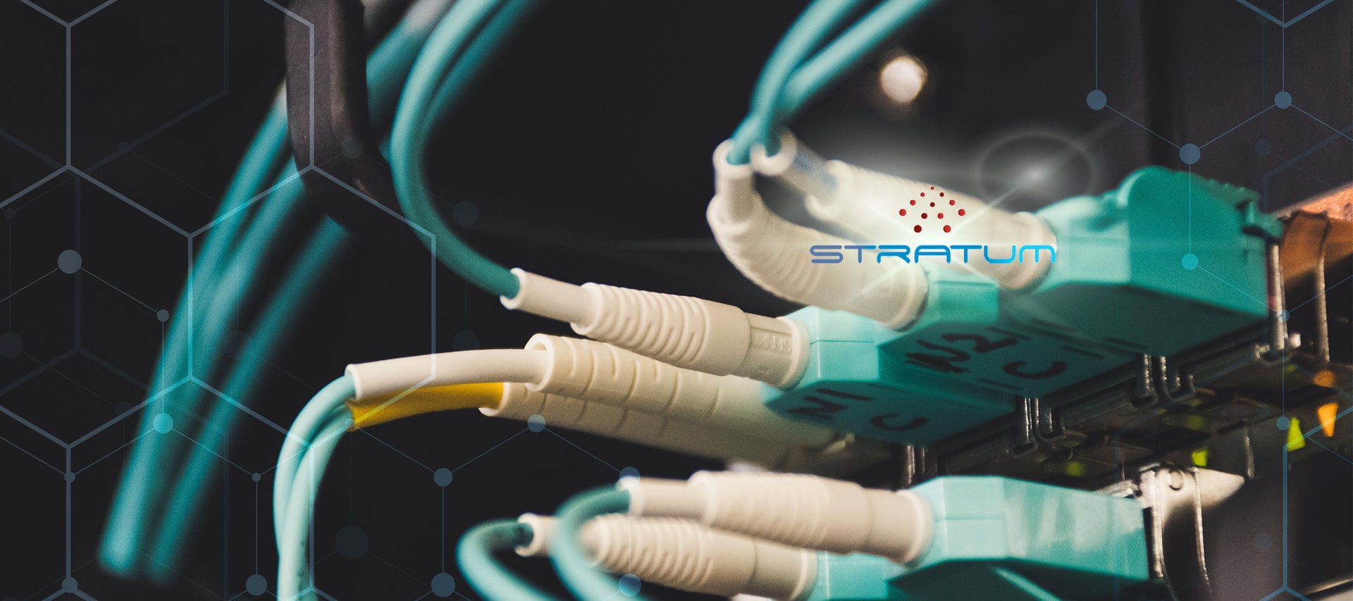 Stratum Open Network OS: Integration - PLVision