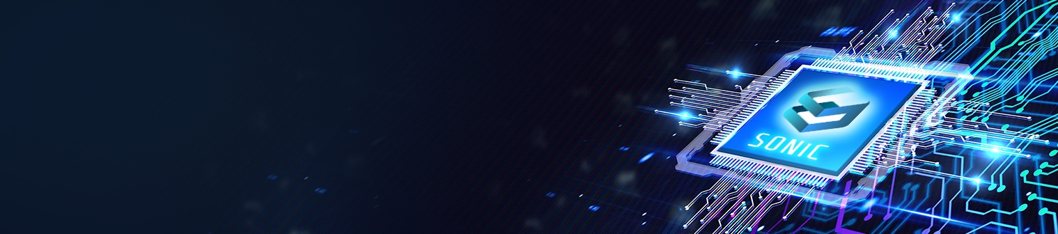 SONiC NOS Testing on Networking Products - PLVision