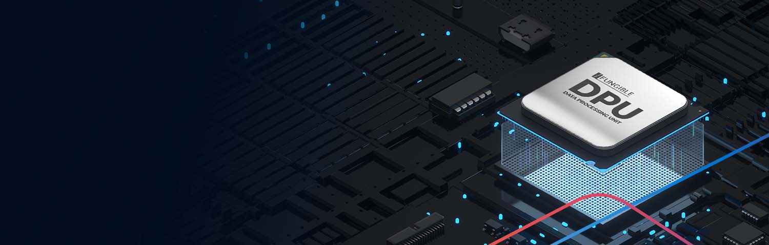 Case Study: SONiC-DASH API Implementation for Fungible DPU | PLVision