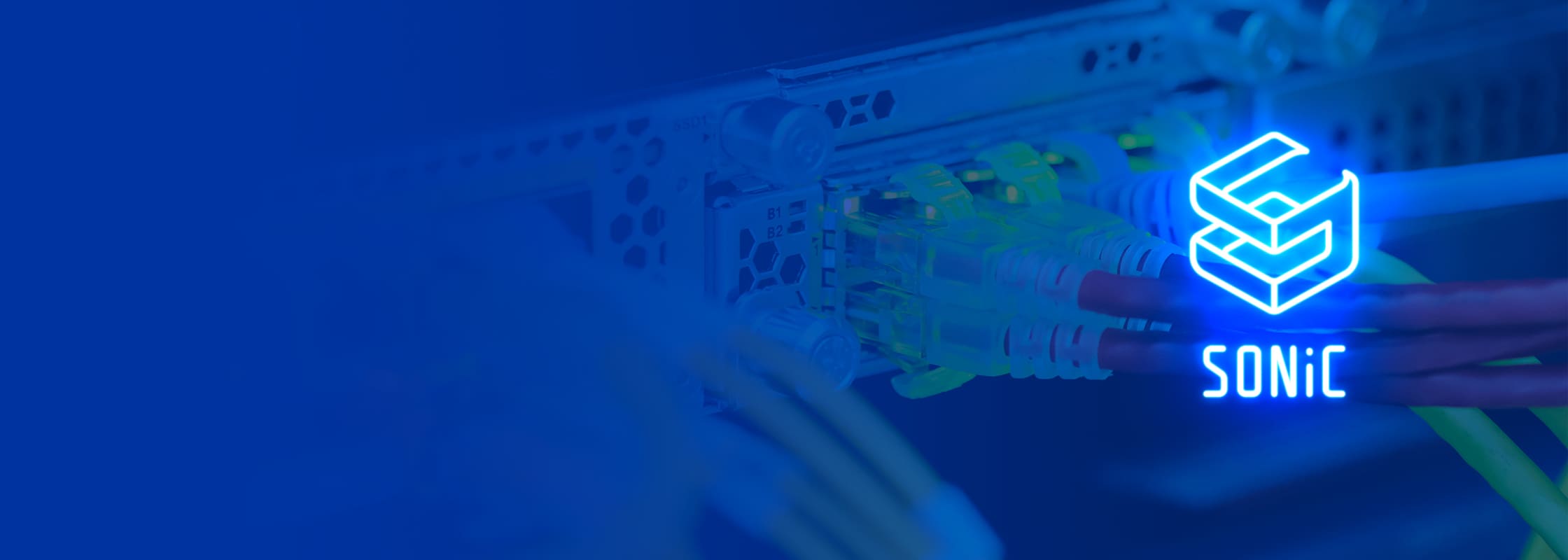 Custom SONiC product development –– PLVision