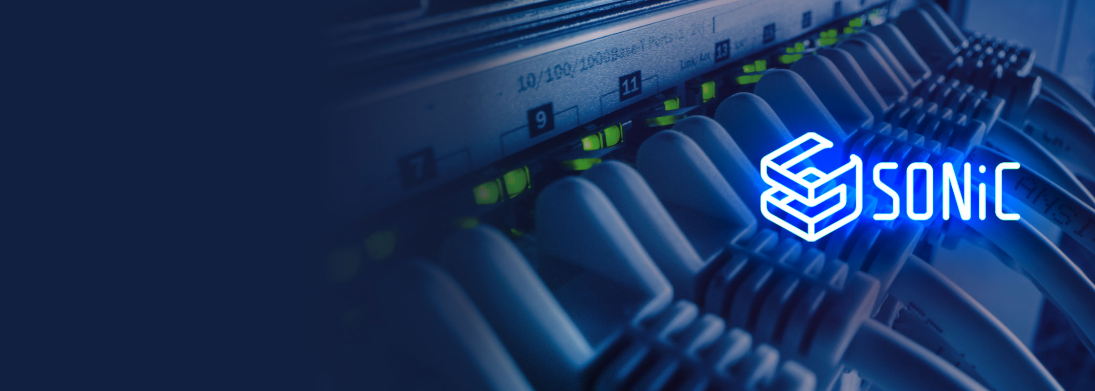 Custom SONiC product development –– PLVision