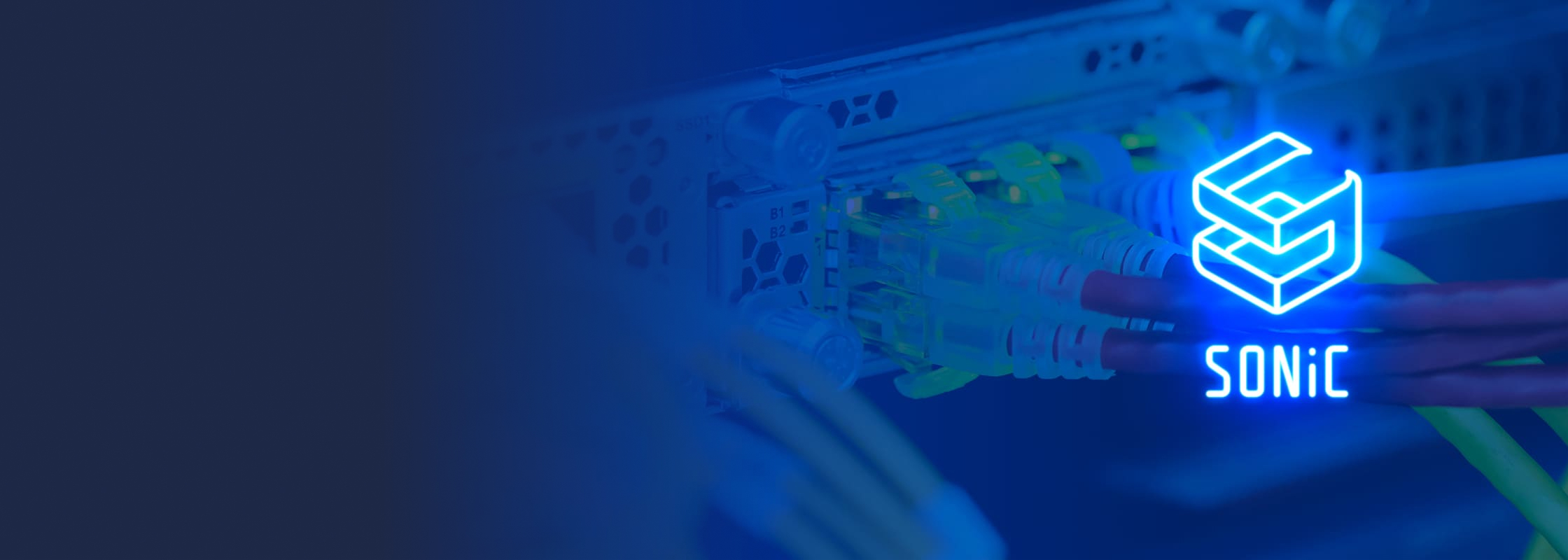 Custom SONiC product development –– PLVision