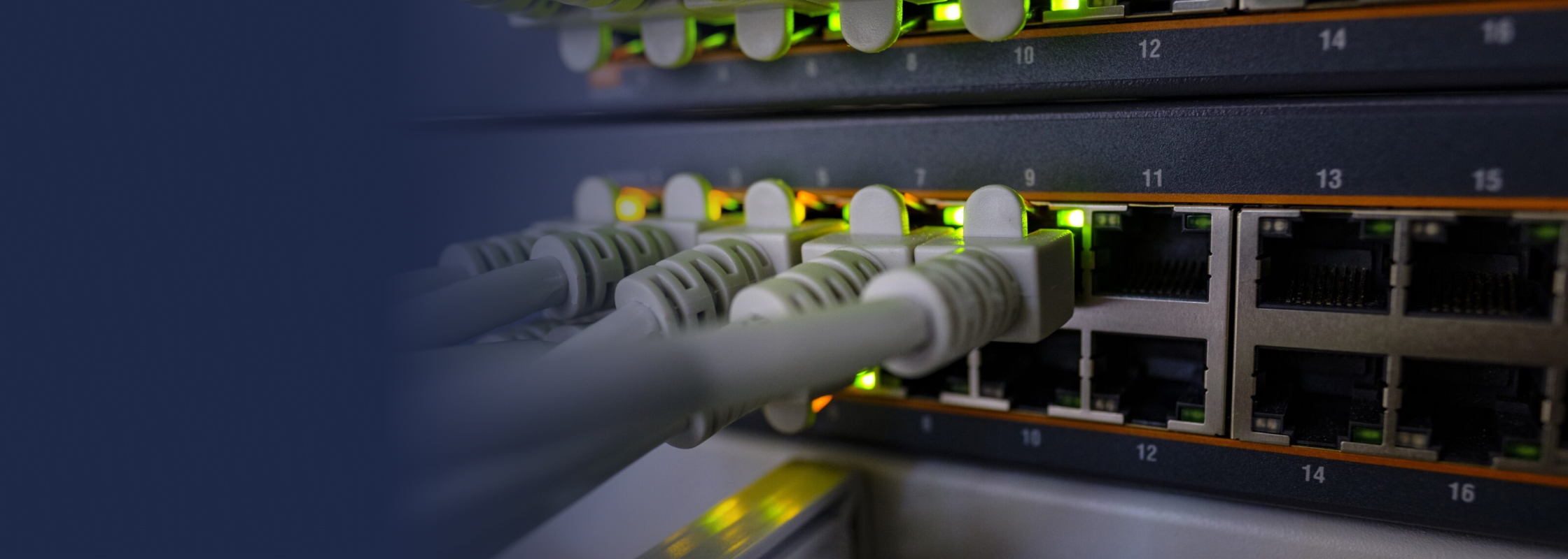 Make Community SONiC work on your hardware – PLVision