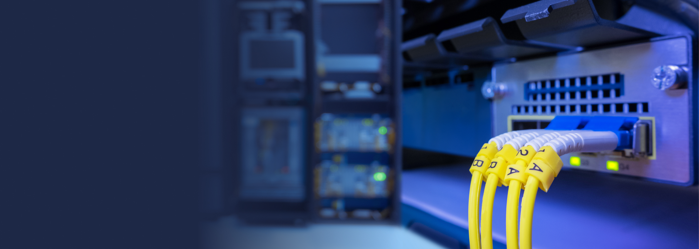 Custom SONiC for Open Aggregation Routers